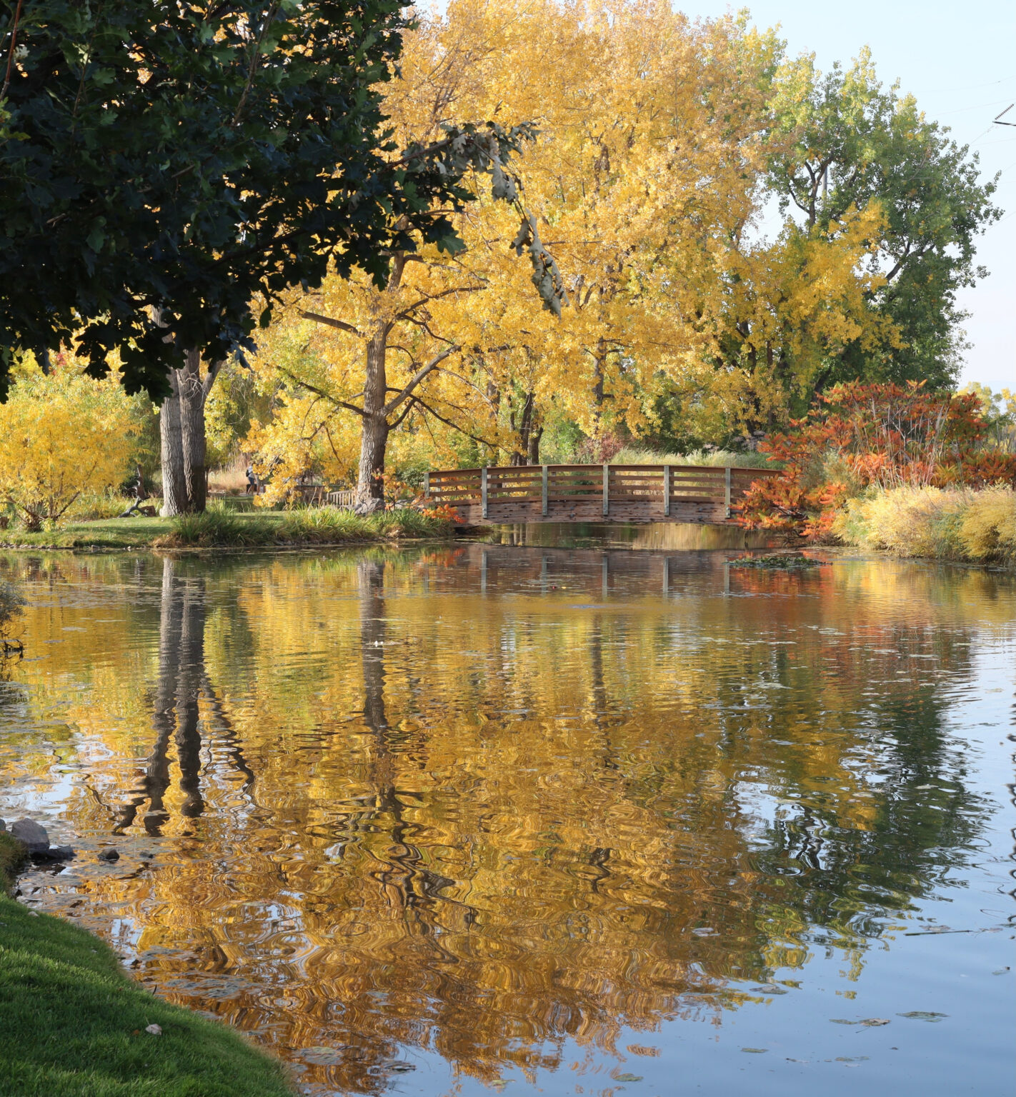 Visit Littleton Colorado | Info, Events & Things to Do in Littleton CO