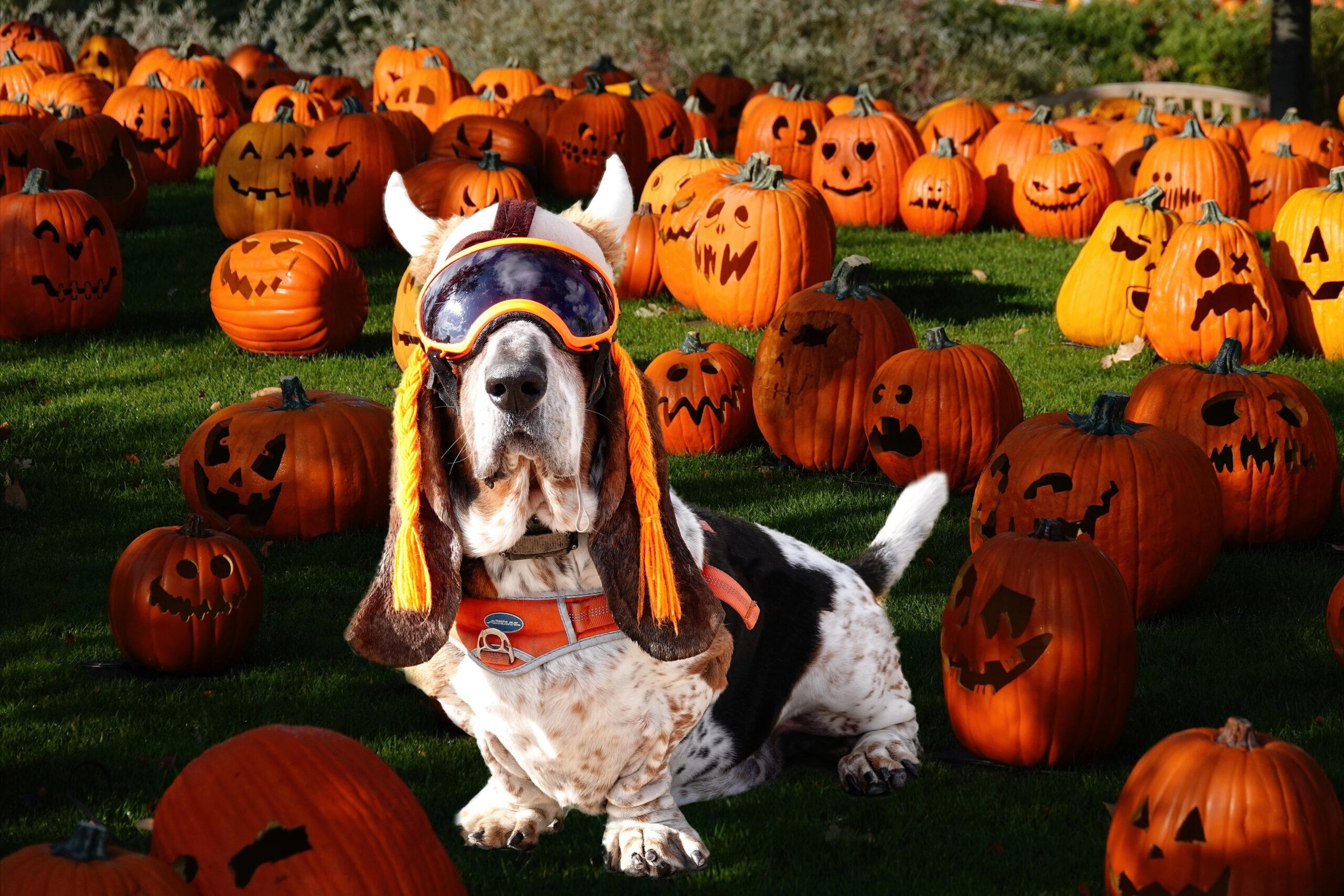 Events in Littleton Colorado | Littleton Twilight Criterium